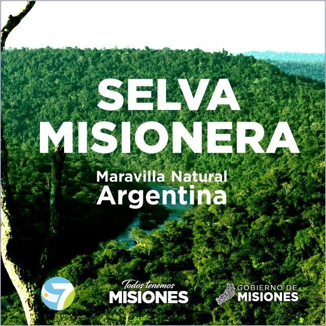 Reconocen a la Selva Misionera como Maravilla Natural Argentina ...