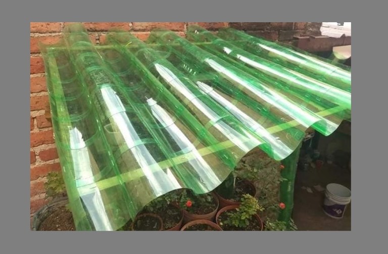 Proponen techos ecológicos construidos de envases PET – Misiones Plural